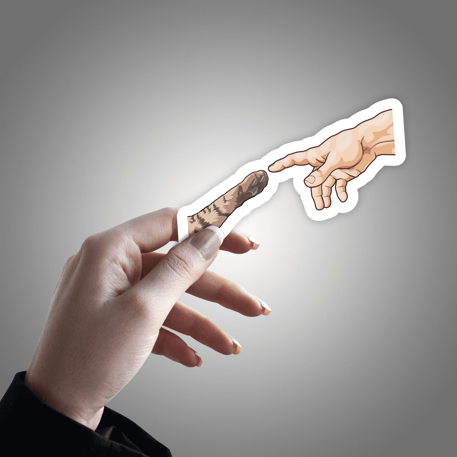 Creation Of Adam Hands Cat Michelangelo Touch Of God Sticker ...